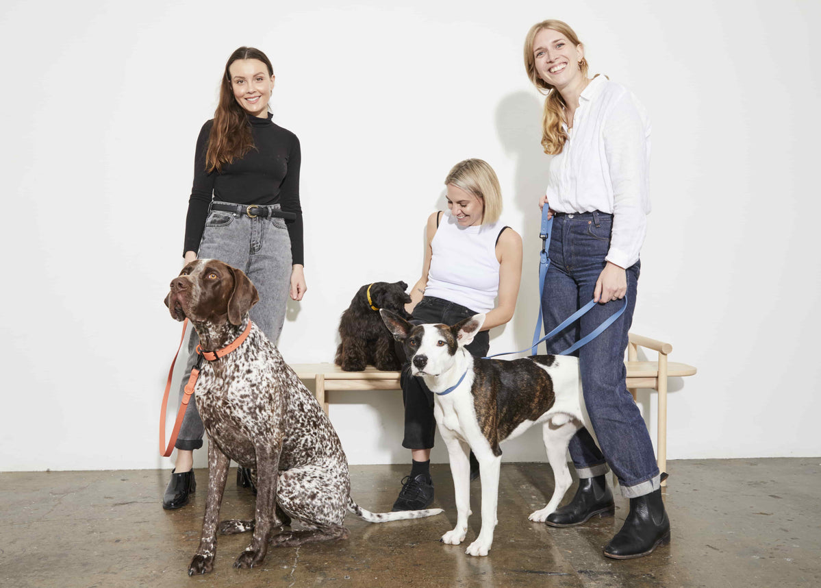 Ravi Thompson How to Stop Your Dog Pulling on The Lead | Yonder Dog The Secret to Civilised ...