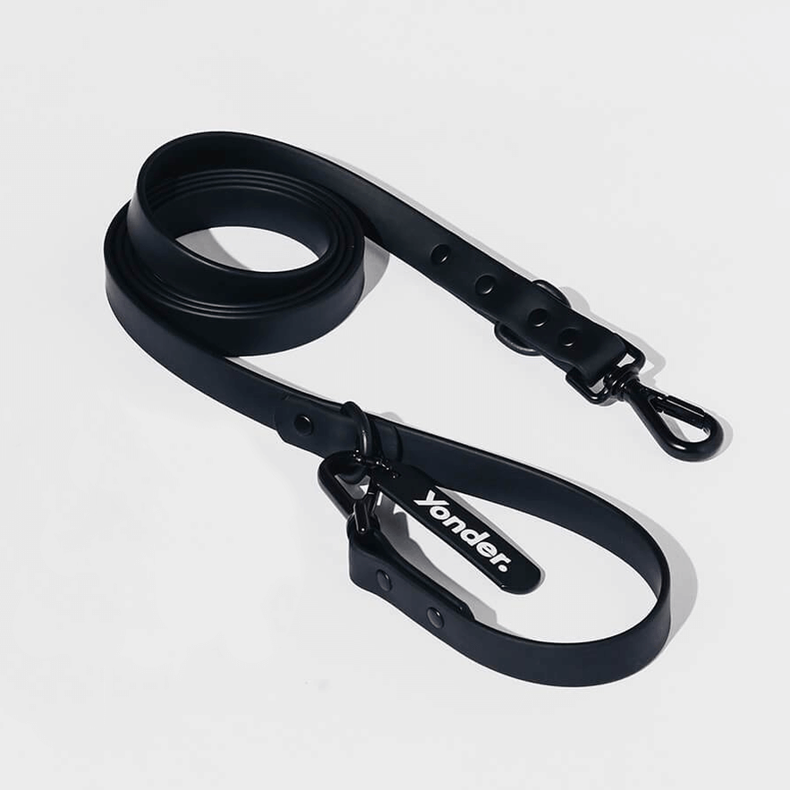 Designer Dog Lead | Best Dog & Puppy Lead in Australia